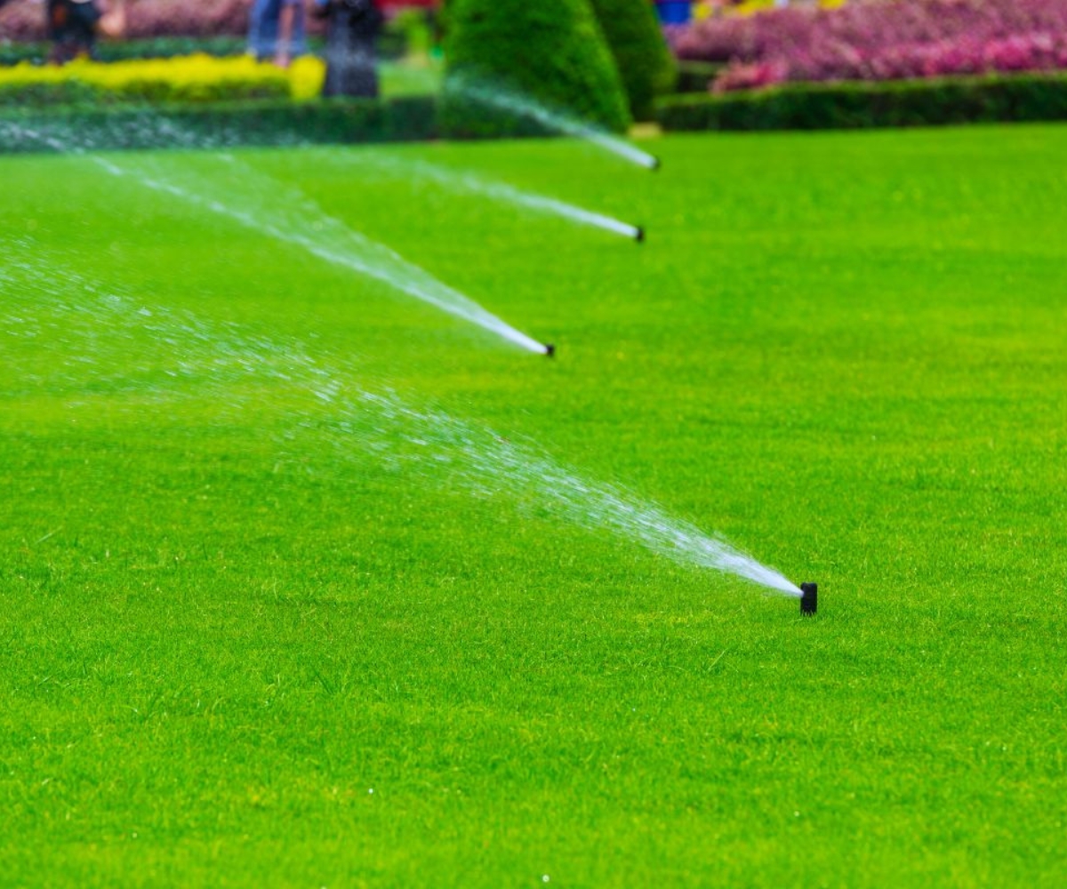 Beat the Mid-Michigan Heat: Summer Watering Tips for a Lush Lawn | Bay ...