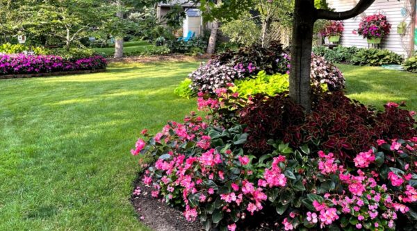 Beat the Mid-Michigan Heat: Summer Watering Tips for a Lush Lawn | Bay ...