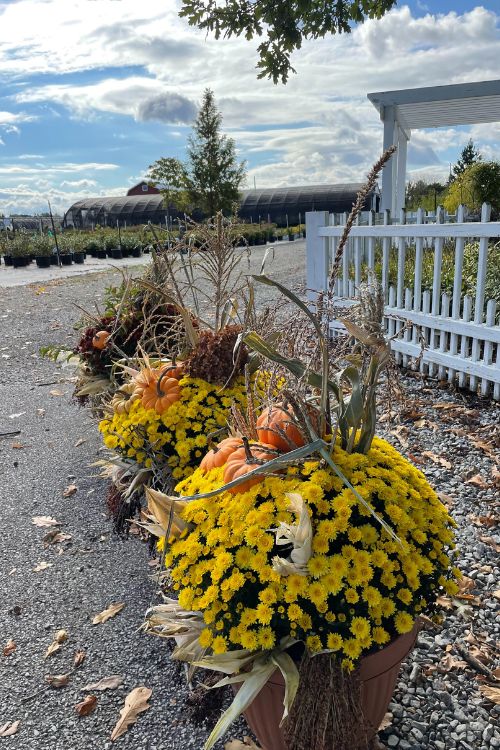 Home | Bay Landscaping